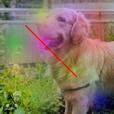 Python Removing White Space Around A Saved Image Stack Overflow