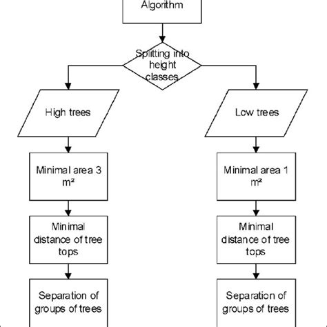 Segmentation Steps Download Scientific Diagram