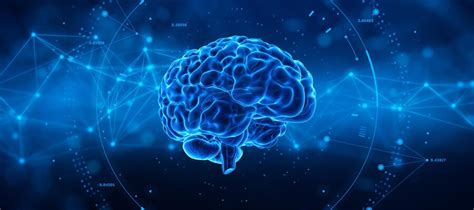 Premium Photo | Digital brain artificial intelligence ai machine learning business technology ...
