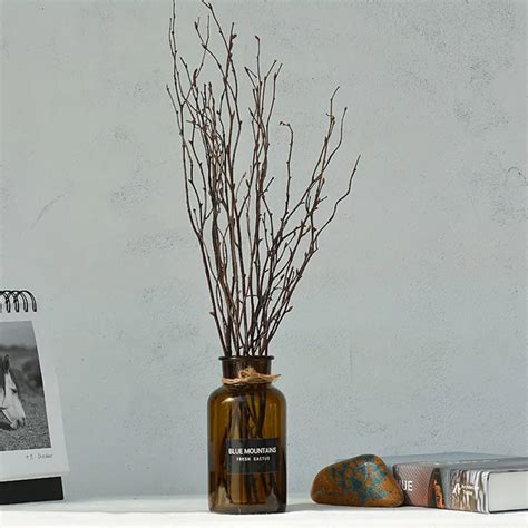 자작 나무 가지의 배경 자연 건조 나뭇 가지 홈 데코 수제 Diy 숲 촬영 소품 5 개인조식물 Aliexpress