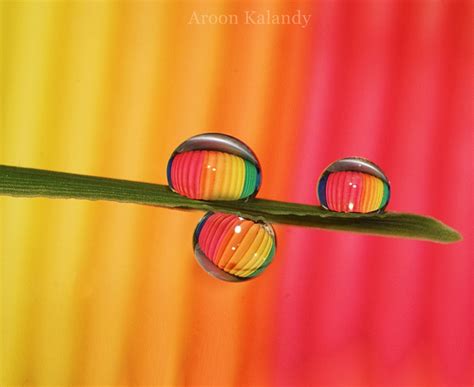 School Of Digital Photography Macro Tutorial Water Drops Photography