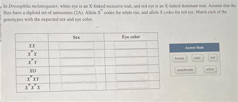 Solved In Drosophila Melanogaster White Eye Is An X Linked