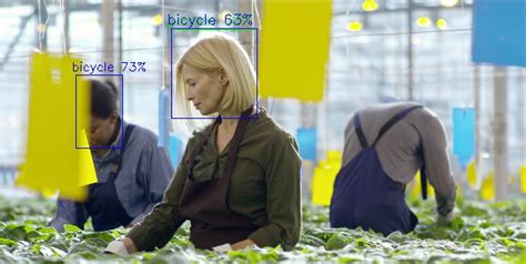 Incorrect Object Detection Using Custom Model General Hailo Community