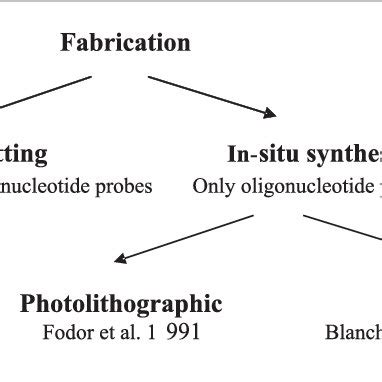 Relation Between Fabrication And Type Of Probe On Microarray Download Scientific Diagram