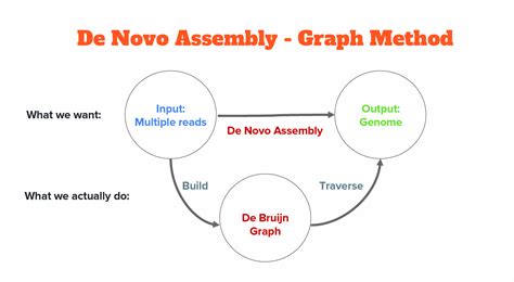 github sarah hesham 2022 de bruijn graph for genome assembly data analysis for genomics de