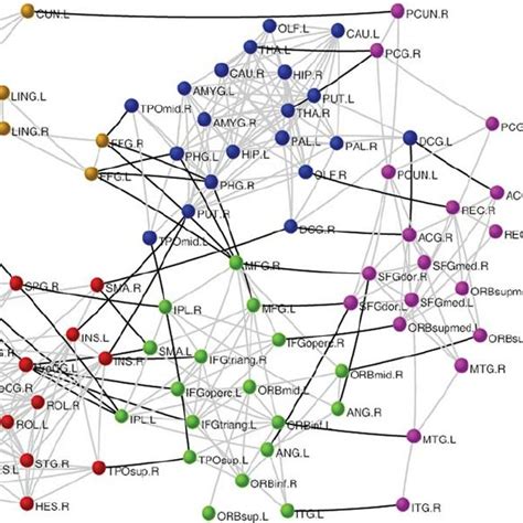 the modular architecture of the human brain functional network we