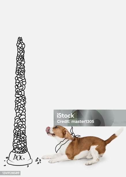 현대 미술품 귀여운 개 한 마리 비글은 흰색 스튜디오 배경에 고립 된 사료의 거대한 산을 시음 가축에 대한 스톡 사진 및 기타 이미지 Istock