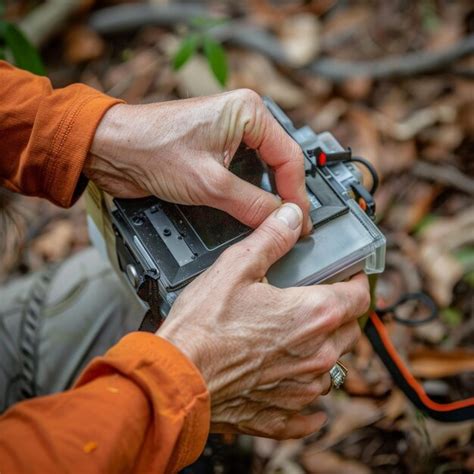 Closeup Of Hands Operating A Trail Camera In A Forest Demonstrating