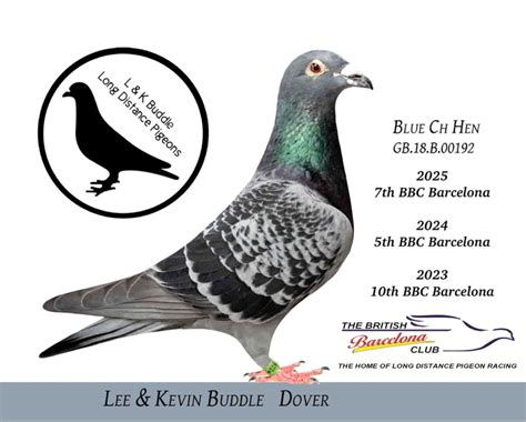 Shes Gone A Won Herself A Bbc Spanish Lee Kevin Buddle Facebook