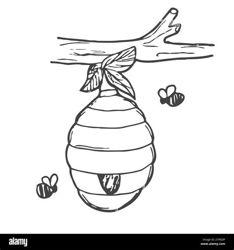 Trellis Bee Hive At Matthew Brunskill Blog