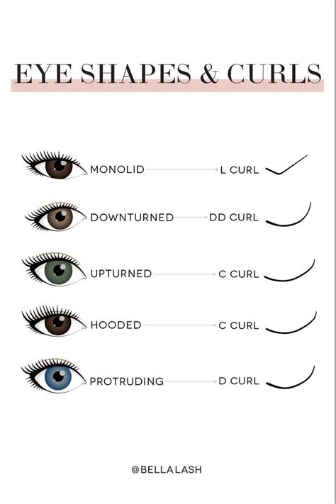 A Comprehensive Guide To Lash Mapping Artofit
