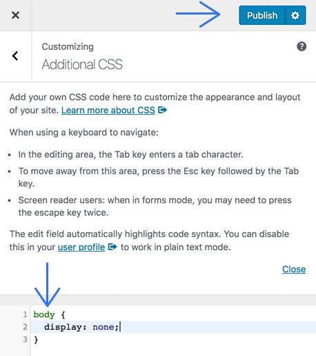 Custom Css Code Discy
