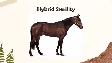 Patterns Of Descent With Modification Pdf