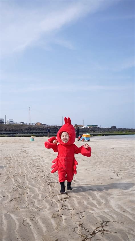 아기가 처음 맞는 제주바람 제주아기스튜디오 제주아기랑가볼만한곳 제주아기랑여행 제주아기랑카페 제주아기랑 나나스냅 아기