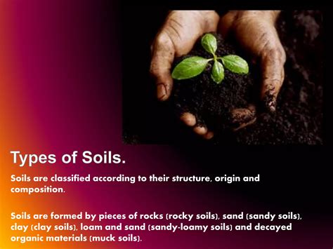 Soil And Ecosystems Pptx