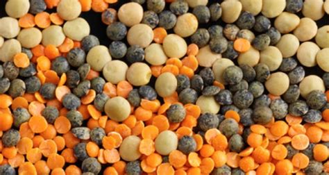Beans Vs Lentils Our Everyday Life