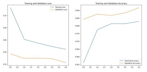 Transfer Learning For Image Classification With TensorFlow Python Simplified
