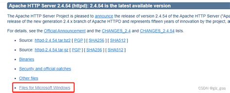 Windows下部署apachevuedjangodjango Vue 部署到apache Csdn博客
