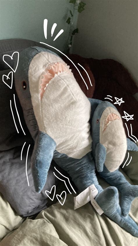 finally got big blahaj! : r/trans