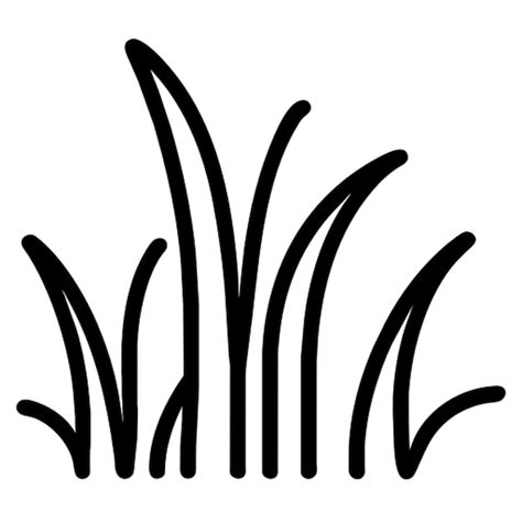 Premium Vector Tall Grass Icon Outline