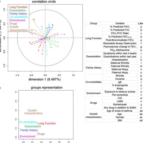 A Principal Coordinate Plot From The Multiple Factor Analysis B Download Scientific
