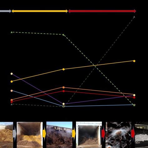 Process Of Composting For The Commercial Production Of Selective