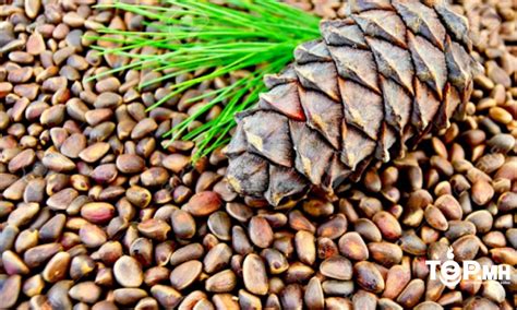 Ойн газар Засгийн газрын хэрэгжүүлэгч агентлаг