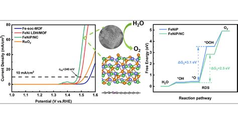 Fe Based Metal Organic Framework Derived Fenipn Doped Carbon