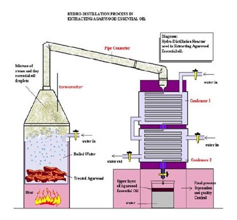Water Distillation Extraction Method At Kai Deacon Blog