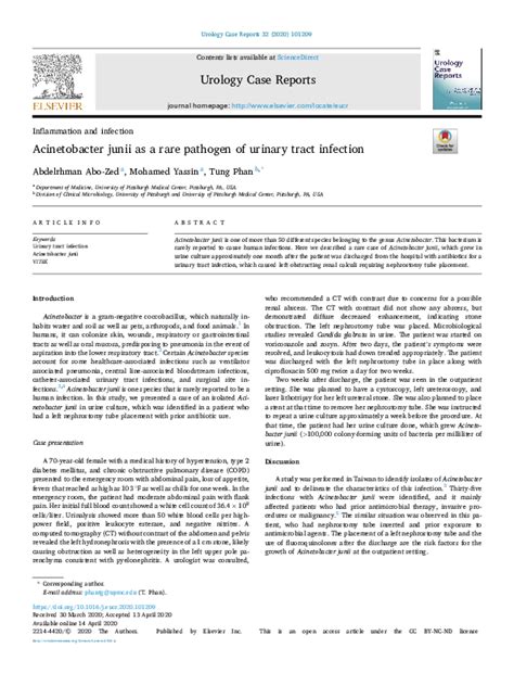 Pdf Acinetobacter Junii As A Rare Pathogen Of Urinary Tract Infection