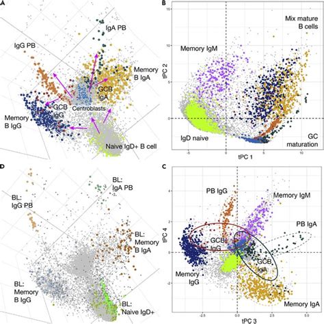Fig S6 Umap Embedding Of Tspace Distance Matrix Related To Figure 3