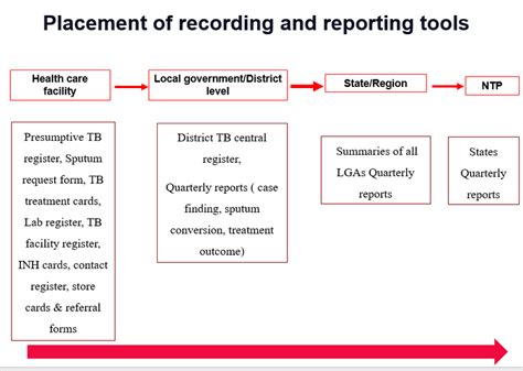 Hierarchy Of Tuberculosis Reporting Process Adapted From National Download Scientific Diagram