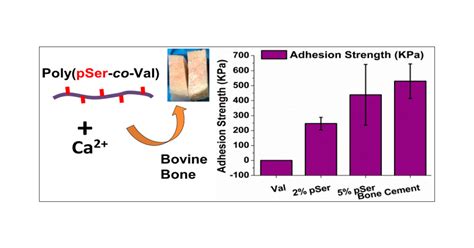 Caddisfly Inspired Phosphorylated Polyester Urea Based Degradable