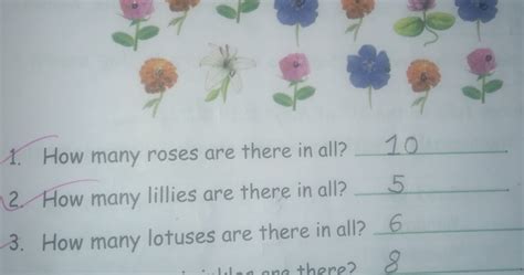 Math Ch 13 Data Handling Text Book