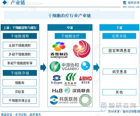 行业趋势 年中国干细胞治疗行业发展政策产业链全景竞争格局及未来前景分析 财富号 东方财富网