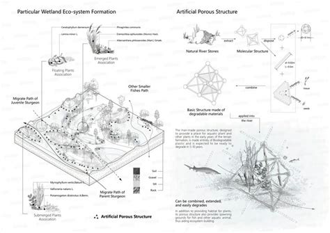 刘欣语 作品集 x in Landscape architecture diagram Habitats Landscape diagram