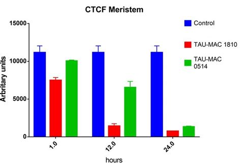 Graph Exhibiting F Actin Fluorescence Intensity Measurements In Oryza
