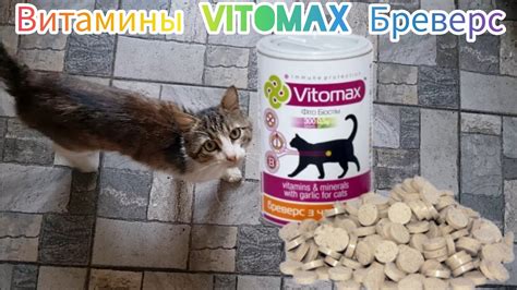 Витамины Vitomax Бреверс 200046 для кошек с пивными дрожжами с чесноком ...
