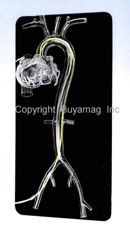 Heart Catheterization Simuator Surgery Phantom Manikin Buyamag Inc