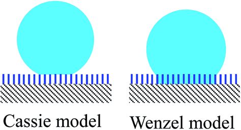 Two Wetting Models Of Drops On Rough Surfaces Download Scientific Diagram