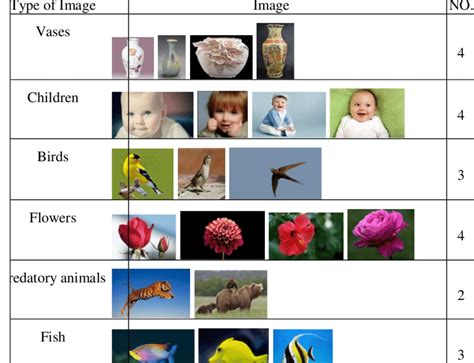 Depicted The Dataset That Is Used For Evaluating The Proposed Method Download Table