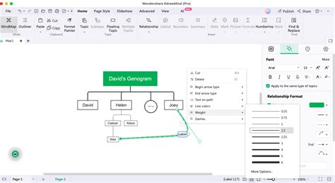 Ecomap Vs Genogram Key Differences Uses And How To Create Them