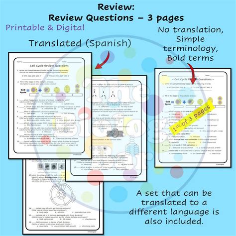 Biology Cell Cycle Mitosis Review And Test Bilingual Marketplace