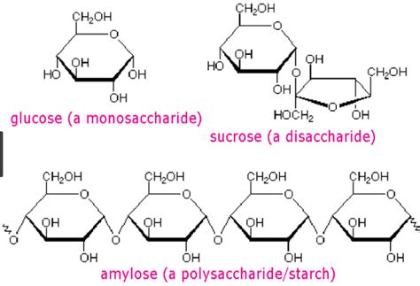 Polysaccharide Vs Disaccharide Vs Monosaccharide Notes PDF VIVA DIFFERENCES