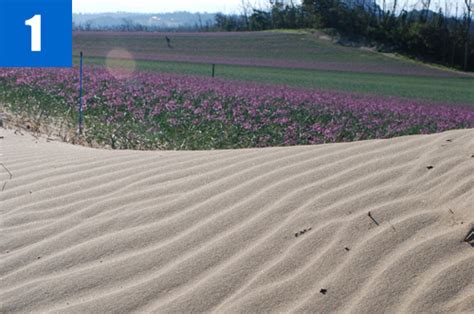 Tottori Sand Dunes Sanin Kaigan Unesco Global Geopark