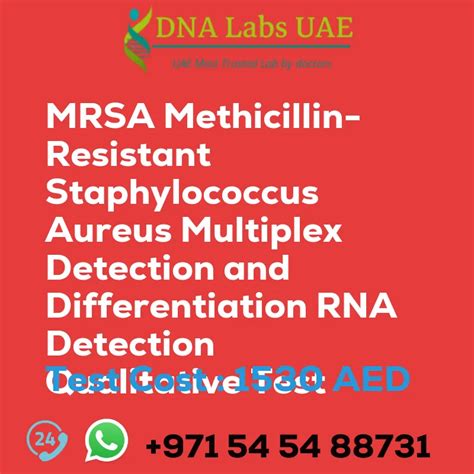 Mrsa Methicillin Resistant Staphylococcus Aureus Multiplex Detection