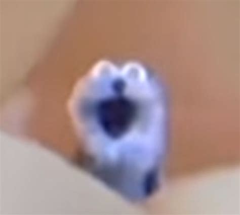 Screaming Blue Thing Blank Template Imgflip