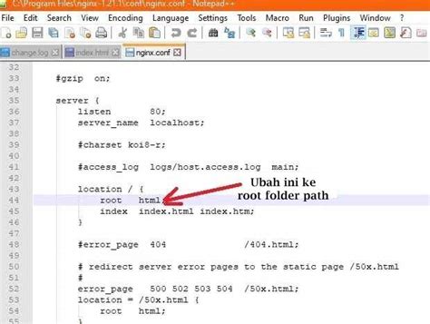 Cara Menginstal Dan Menjalankan Server Nginx Di Windows Tamboenman