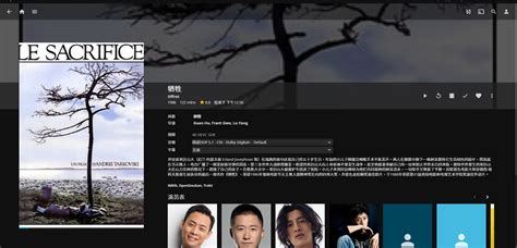 同名电影搜索错误 Issue caryyu jellyfin plugin opendouban GitHub