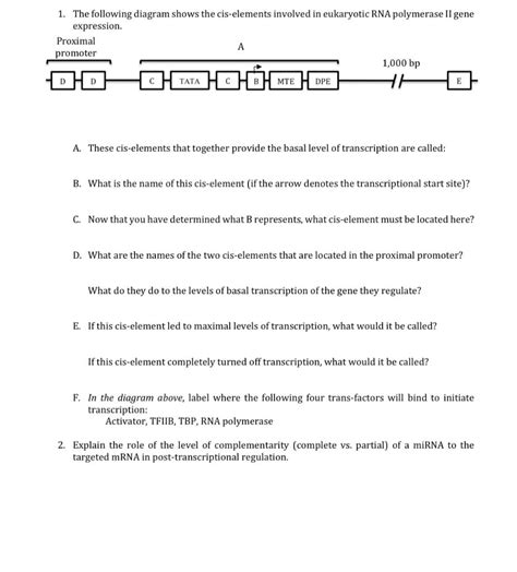 Solved 1 The Following Diagram Shows The Cis Elements